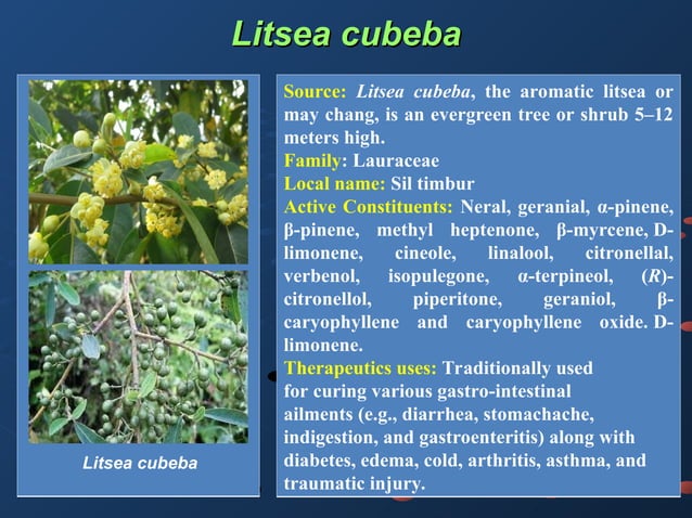 LOCAL MEDICINAL PLANTS FOUND IN SIKKIM HIMALAYA | PPT