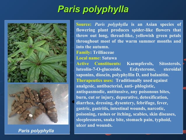 LOCAL MEDICINAL PLANTS FOUND IN SIKKIM HIMALAYA | PPT