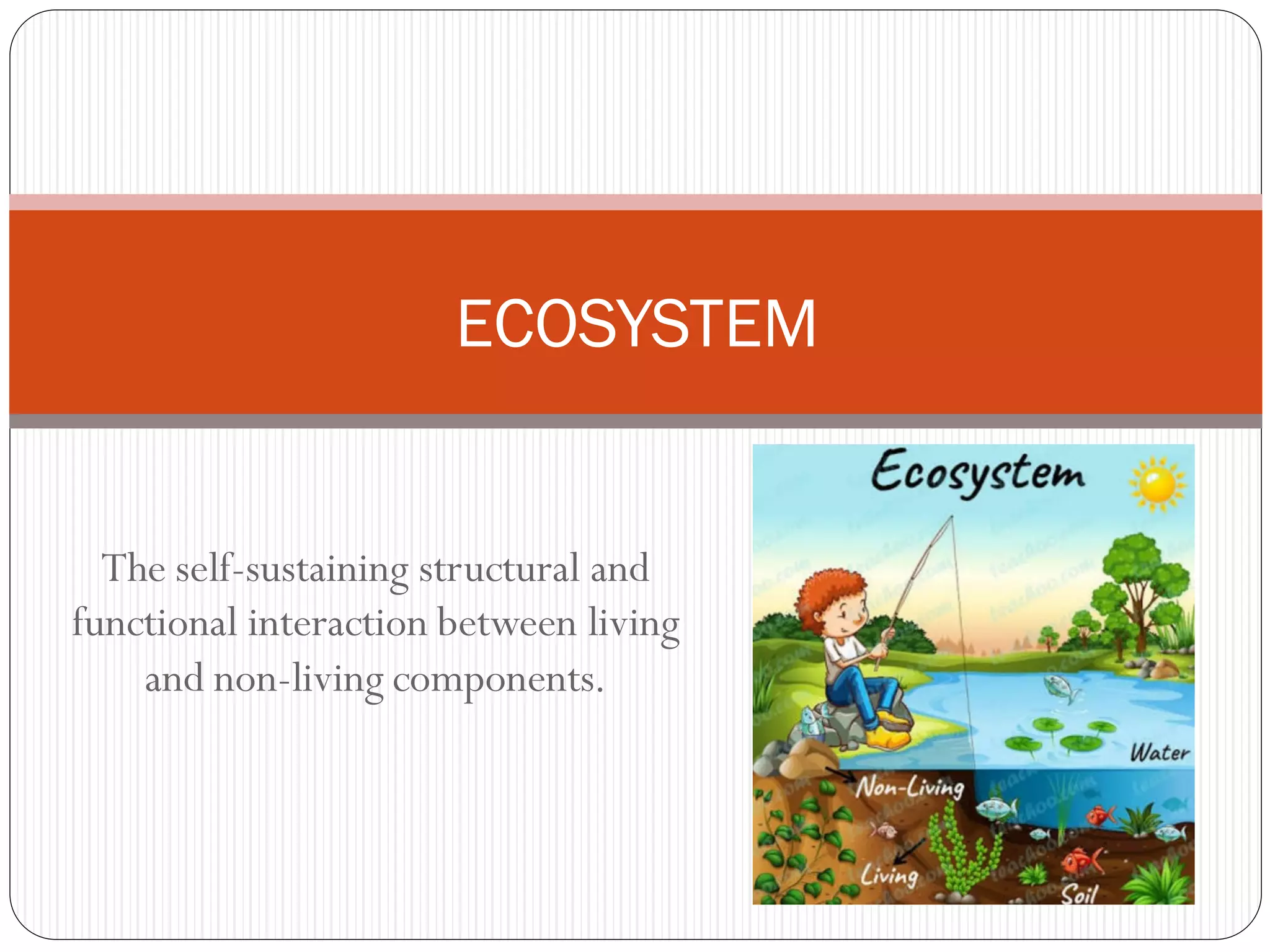 Local simple ecosystem ppt | PPT