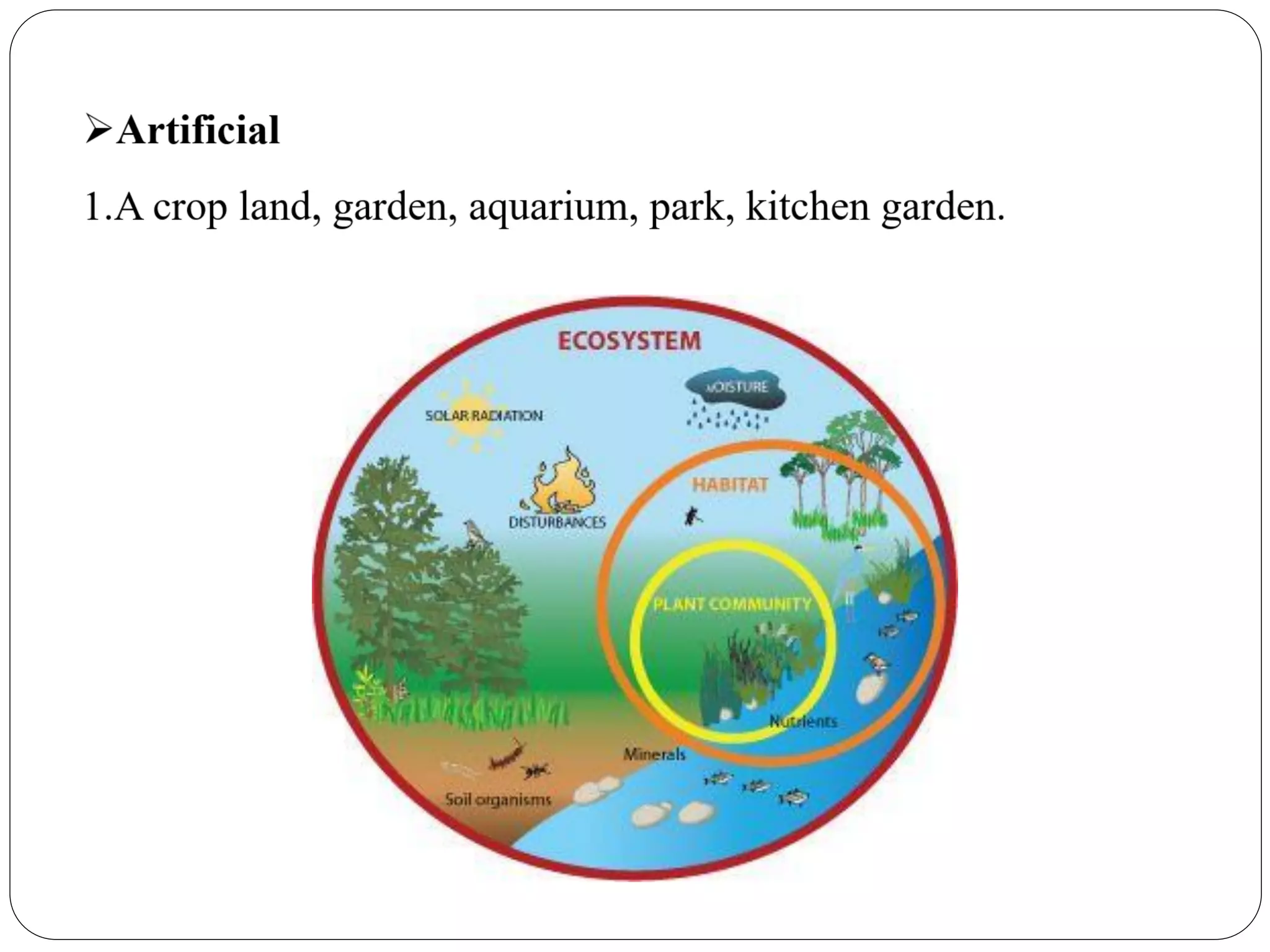 Local simple ecosystem ppt | PPT