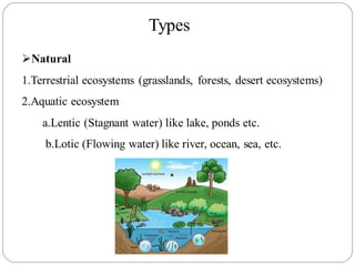 Local simple ecosystem ppt | PPT