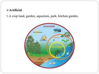 Local simple ecosystem ppt | PPT