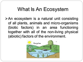 Simple Ecosystem Picture