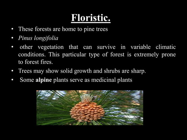 Local vegetation of pakistan.. | PPT | Geography | Science