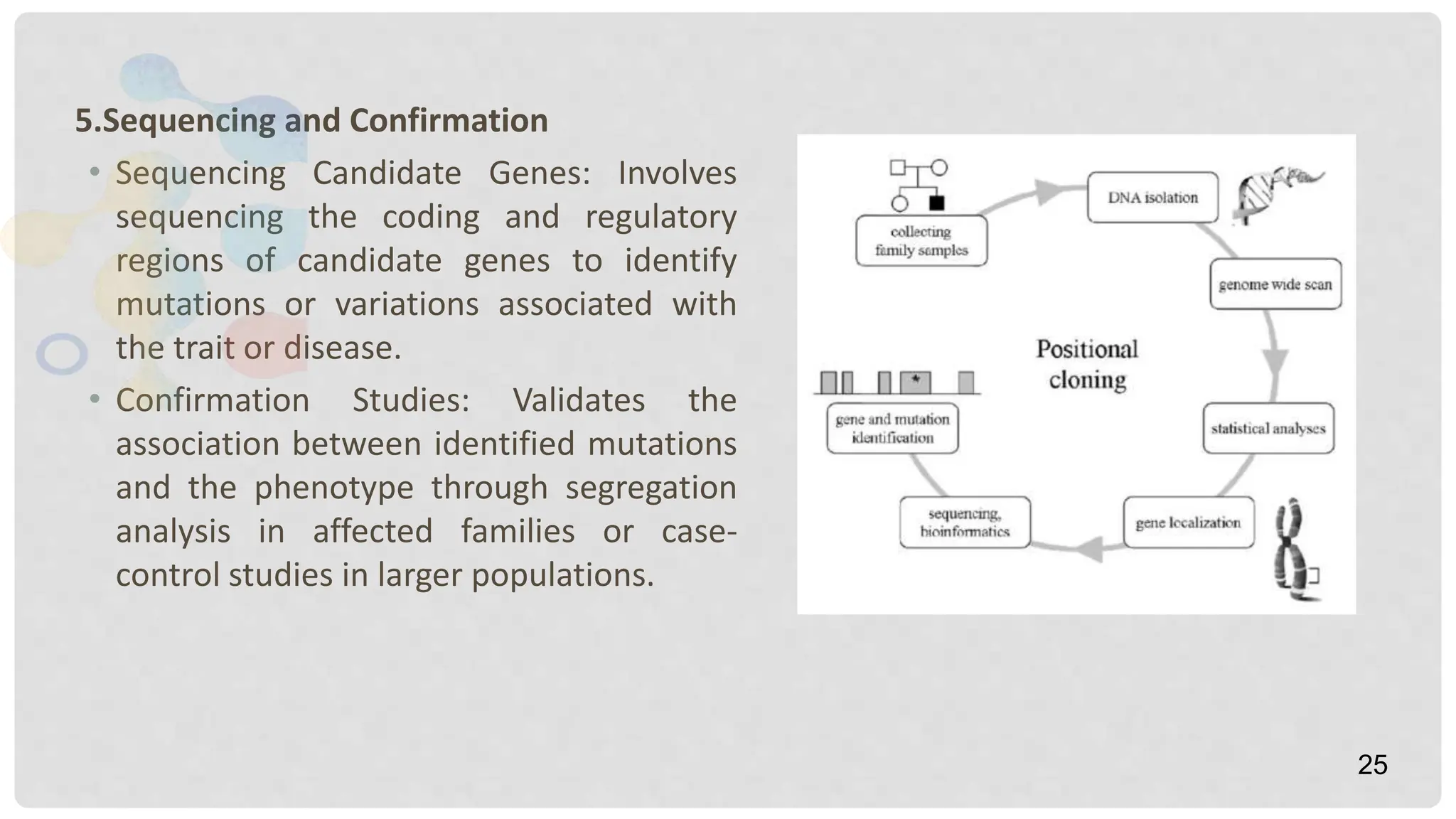 Locating and isolating a gene, FISH, GISH, Chromosome walking and ...