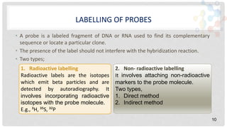 Locating and isolating a gene, FISH, GISH, Chromosome walking and ...