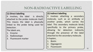 Locating and isolating a gene, FISH, GISH, Chromosome walking and ...