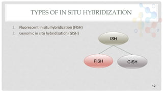 Locating and isolating a gene, FISH, GISH, Chromosome walking and ...