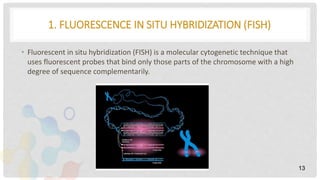 Locating and isolating a gene, FISH, GISH, Chromosome walking and ...