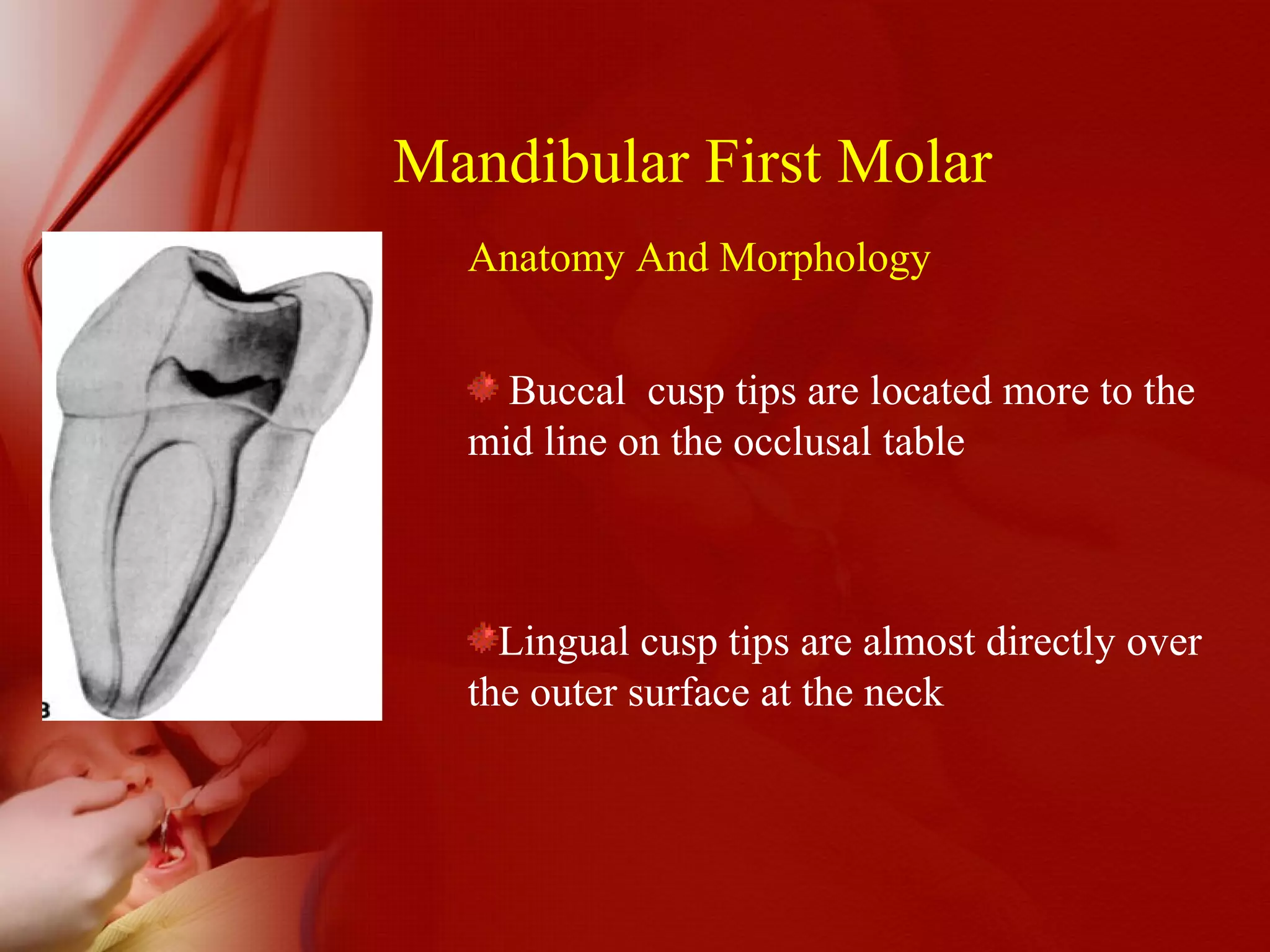 Locating root canal orifice in molar RCT | PPT