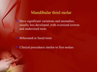 Locating root canal orifice in molar RCT | PPT