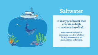 Location of Waters on Earth Activity Science Presentation in Blue Light ...