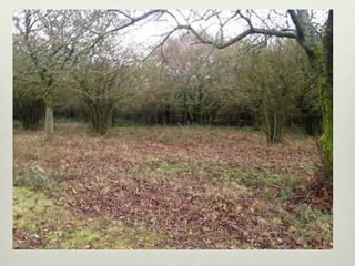 Location recce | PPTX