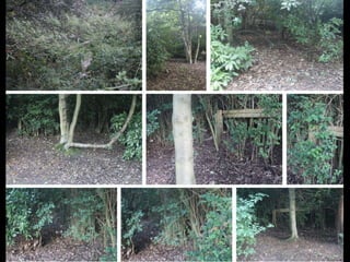 Location Scout | PPTX