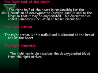 Location & structure of the heart | PPT