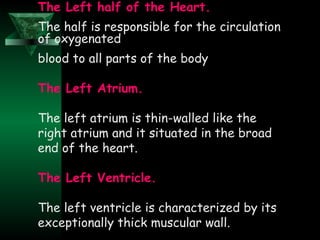 Location & structure of the heart | PPT
