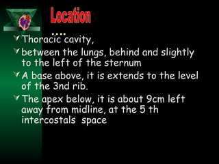 Location & structure of the heart | PPT