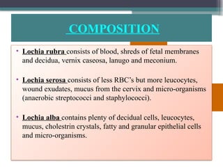 LOCHIA.pptx hbuhjhuh7t7tu7yt7tthuhuhuhuhuhuhuh7t6t6r6 | PPT