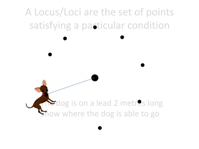 Loci and construction | PPTX | Genetics | Science