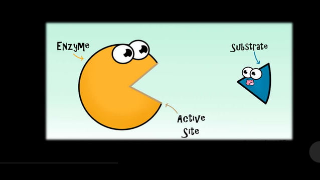 Lock and key model & induced fit model | PPTX | Chemistry | Science