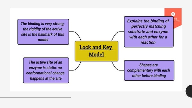 Lock and key model & induced fit model | PPTX | Chemistry | Science