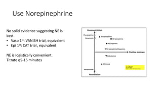 Locke vasopressor ppt | PPT