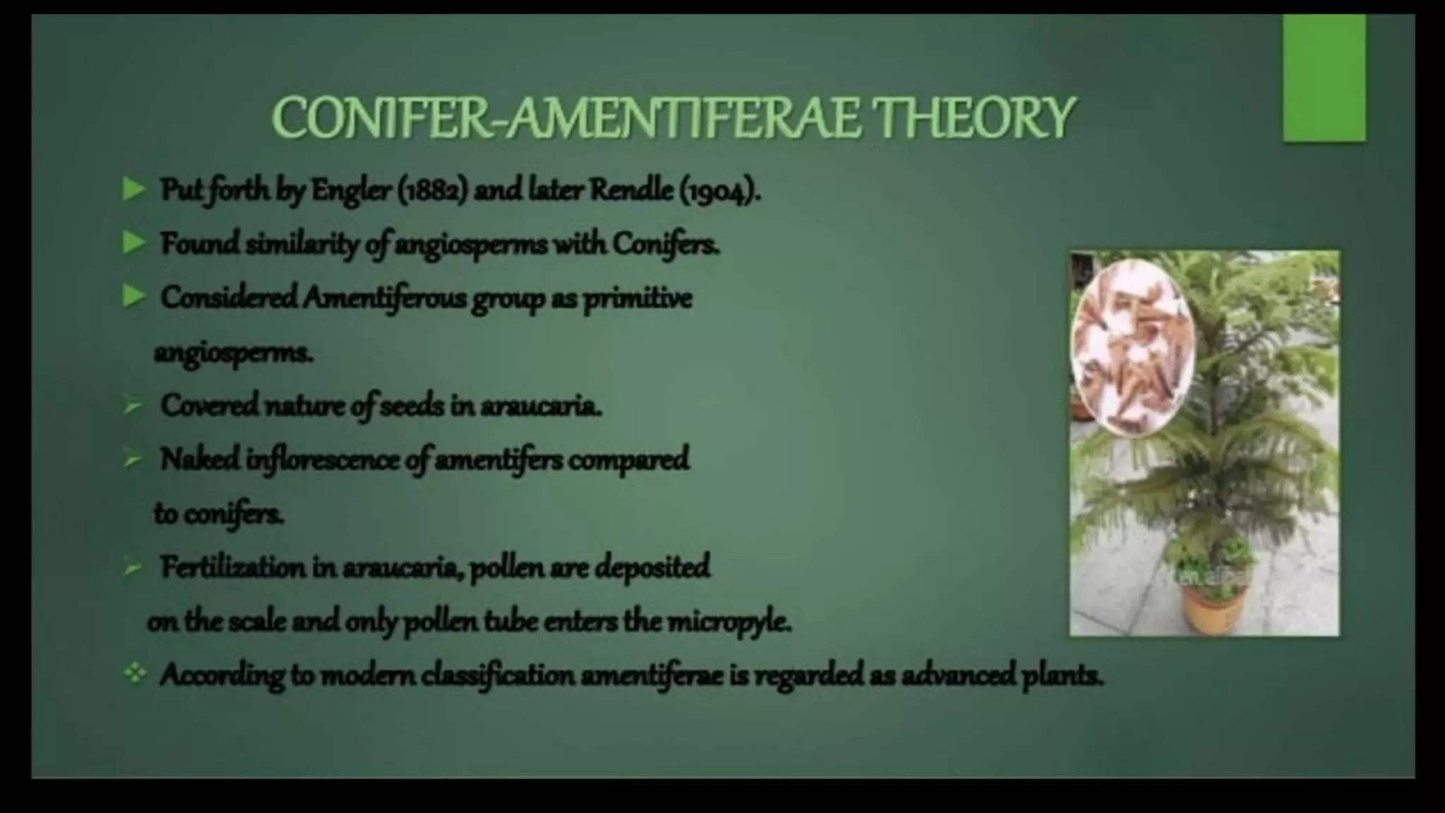 Sailent feature of Angiosperm.pptx
