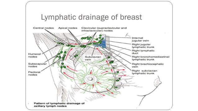 Locally advanced ca breast LABC | PPTX | Cancer | Diseases and Conditions