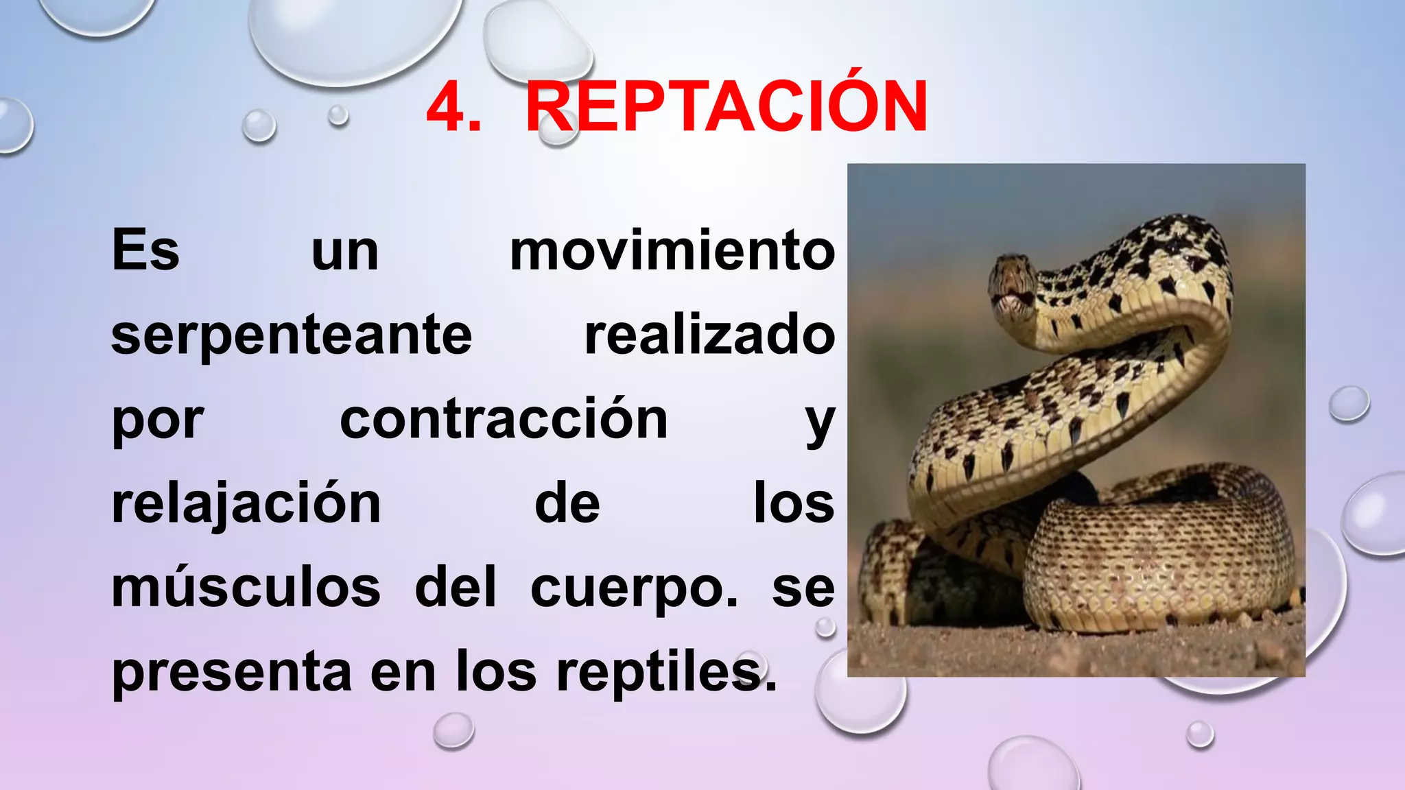 TIPOS DE LOCOMOCIÓN EN DIVERSOS SERES VIVOS | PPT