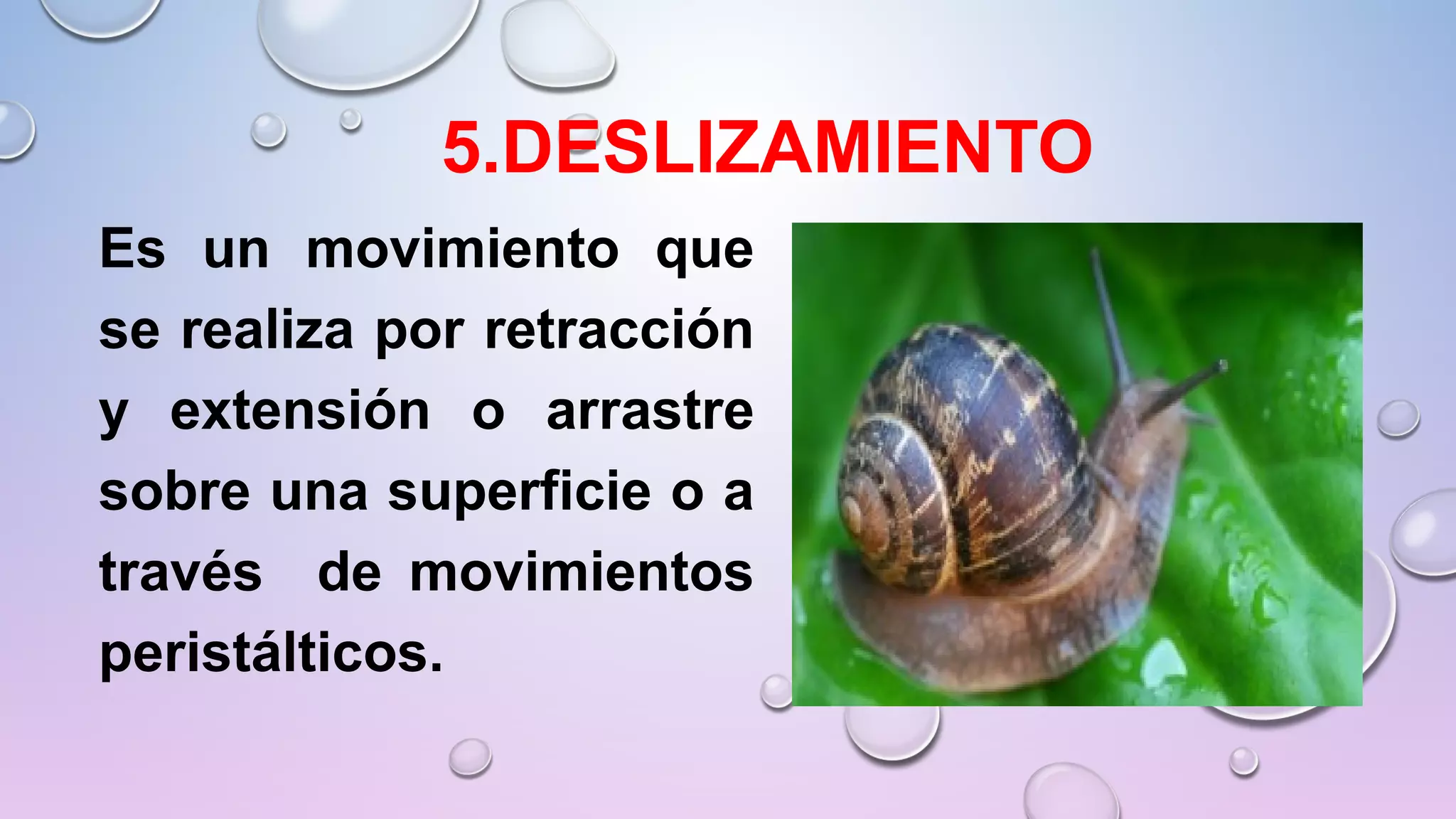 TIPOS DE LOCOMOCIÓN EN DIVERSOS SERES VIVOS | PPT