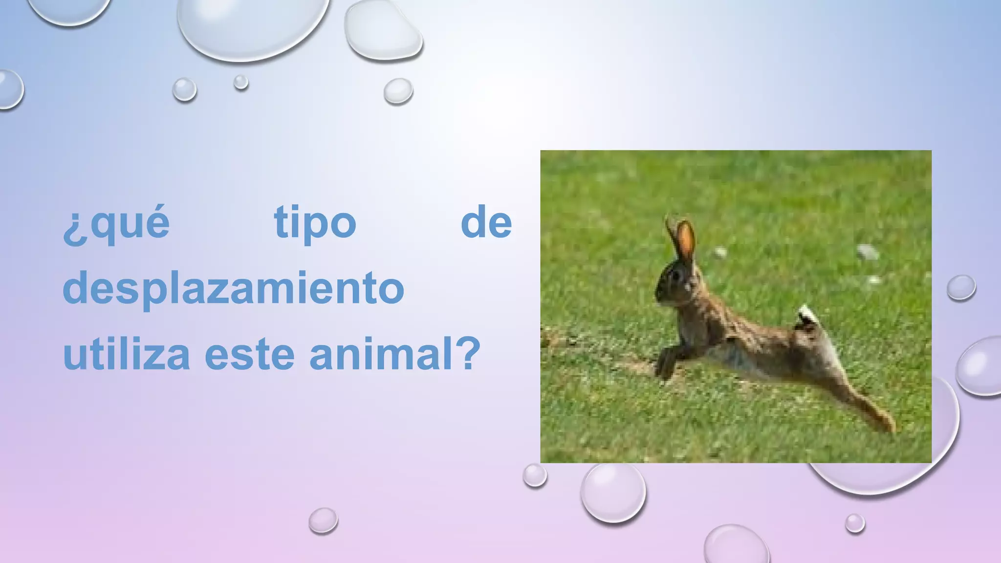 TIPOS DE LOCOMOCIÓN EN DIVERSOS SERES VIVOS | PPT