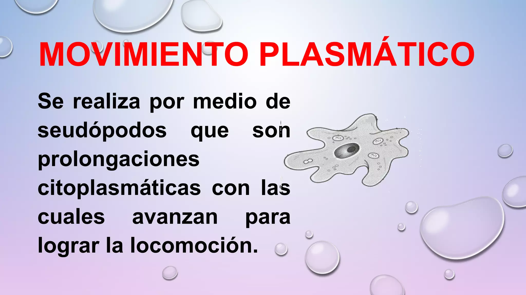 TIPOS DE LOCOMOCIÓN EN DIVERSOS SERES VIVOS | PPT