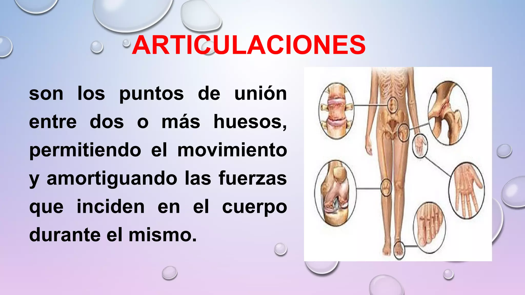 TIPOS DE LOCOMOCIÓN EN DIVERSOS SERES VIVOS | PPT