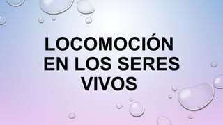 TIPOS DE LOCOMOCIÓN EN DIVERSOS SERES VIVOS | PPT