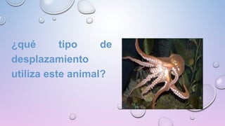 TIPOS DE LOCOMOCIÓN EN DIVERSOS SERES VIVOS | PPT