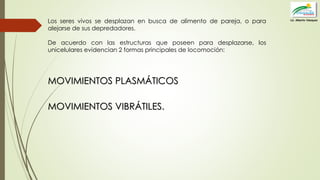 Locomoción en organismo unicelulares y pluricelulares | PDF