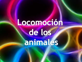 Locomocion | PPTX