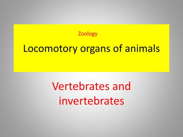 Locomotary organs in animals | PPTX | Fish and Aquariums | Pets
