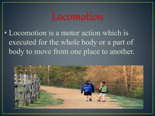 Locomotion | PPTX