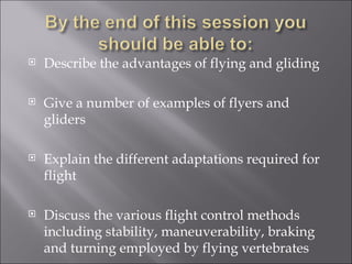 Locomotion Flying And Gliding | PPT