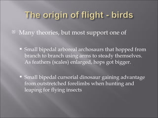 Locomotion Flying And Gliding | PPT