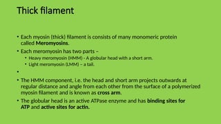 LOCOMOTION and MOVEMENT class 10th by amit.pptx