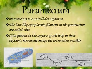 Locomotion various type | PPTX | Biological Sciences | Science