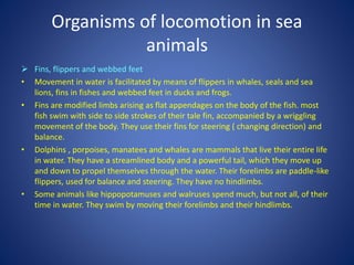 Locomotion and movement | PPTX