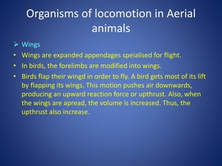 Locomotion and movement | PPTX