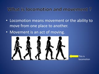 Locomotion and movement | PPTX