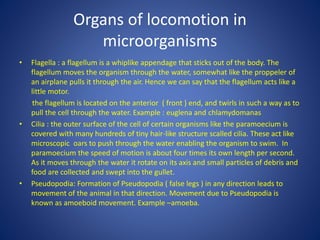 Locomotion and movement | PPTX