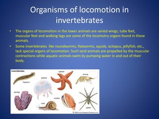 Locomotion and movement | PPTX