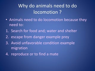 Locomotion and movement | PPT