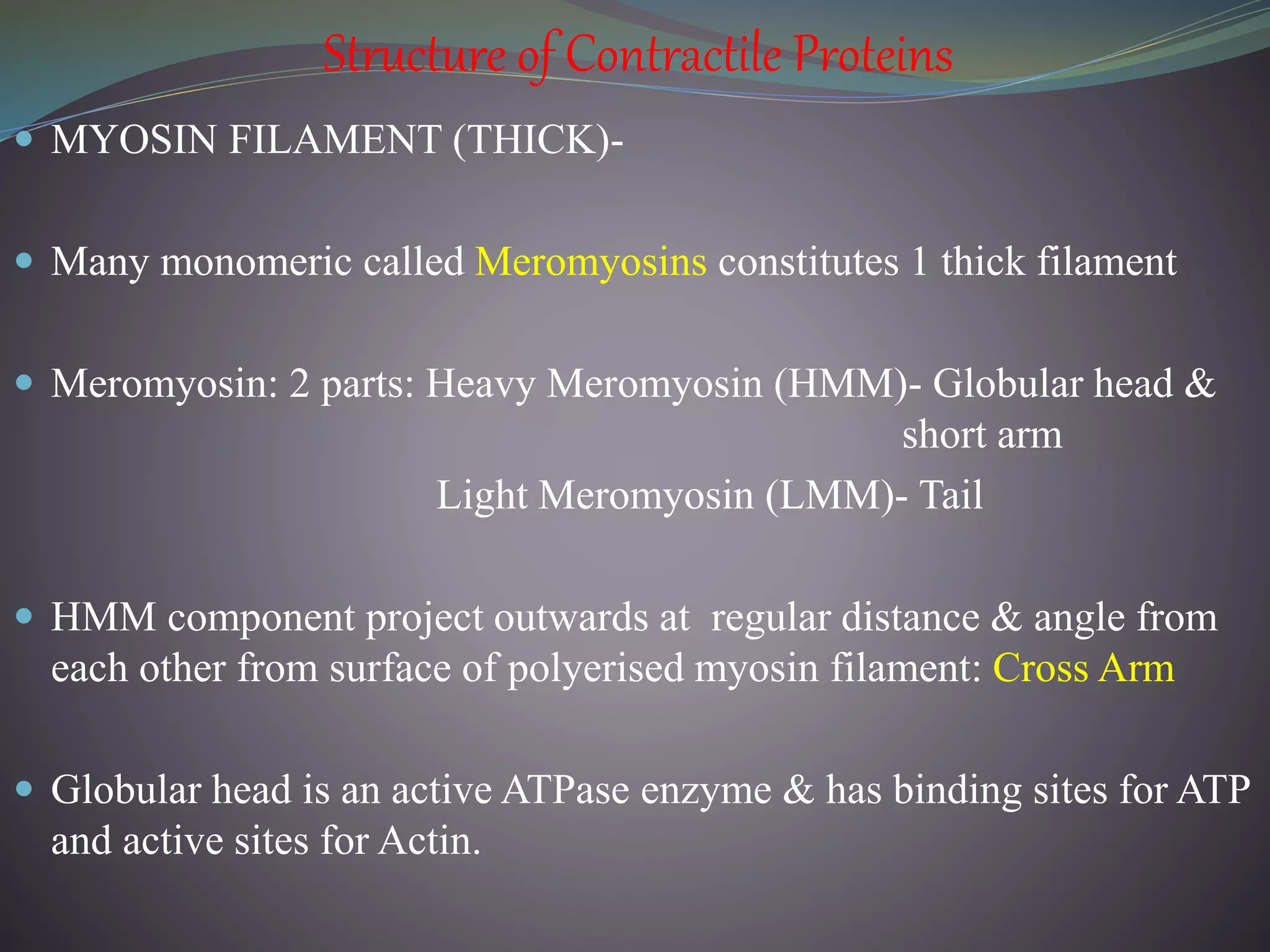 Locomotion and movement In Humans | PPTX